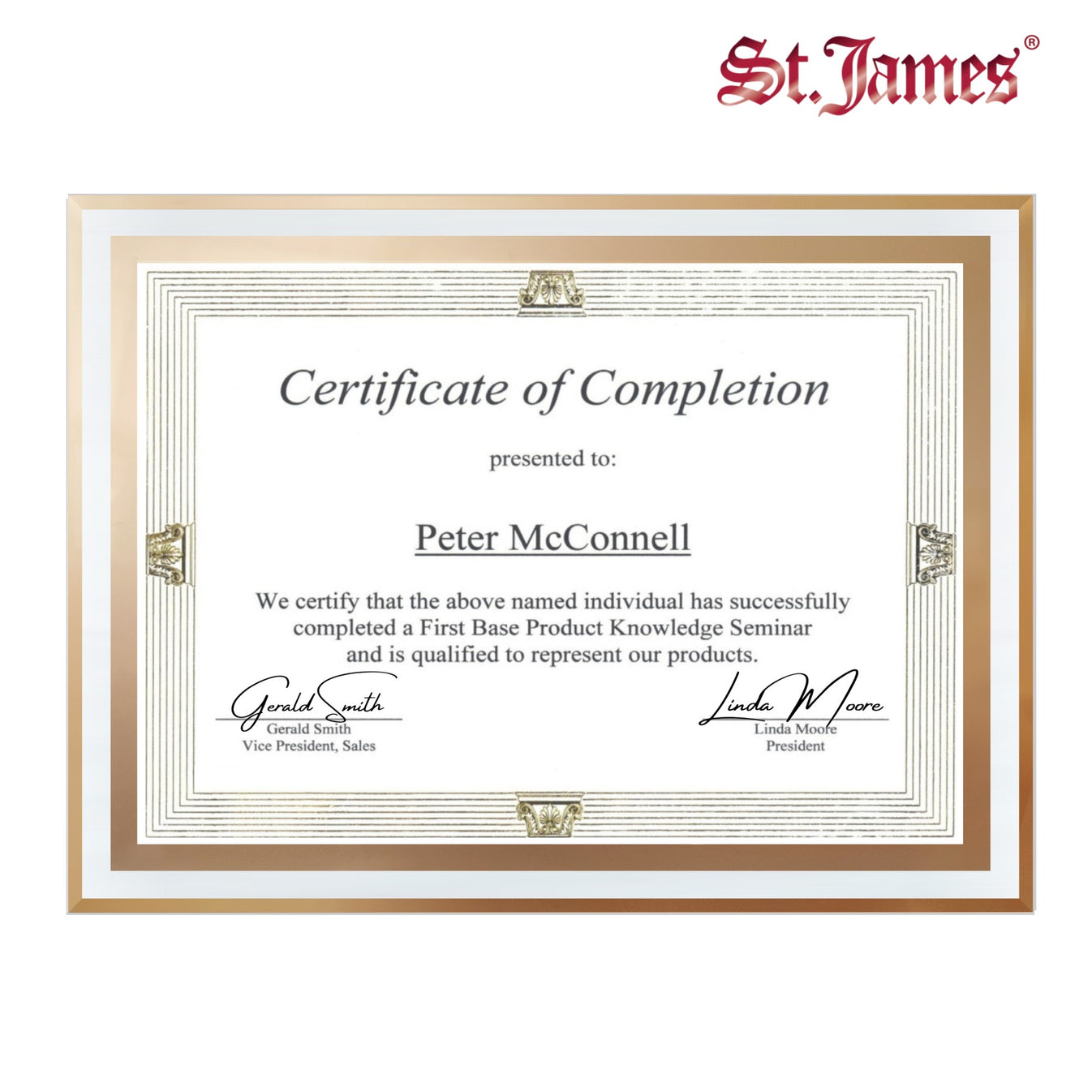 St. James® Certificate/Document/Diploma Glass Frame, 8.5x11", Clean Li ...